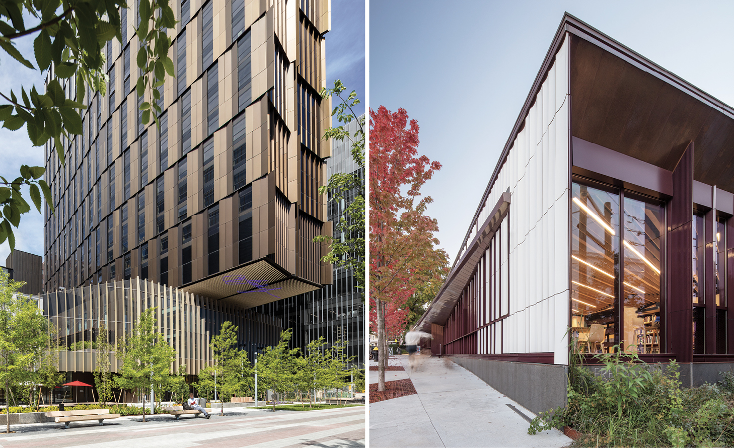 NADAAA BLOG_Adams Branch Library Archives - NADAAA BLOG