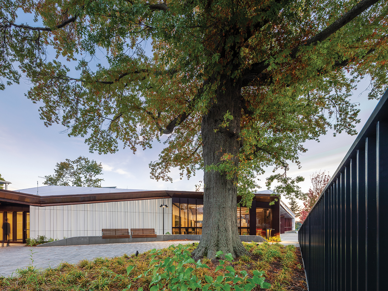 NADAAA BLOG_Adams Branch Library Archives - NADAAA BLOG