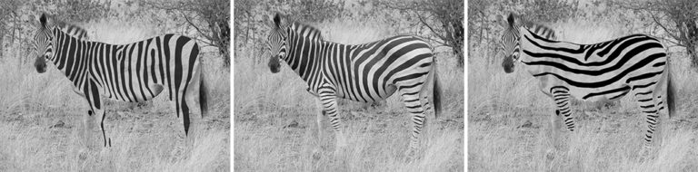 THE TECTONIC GRAIN - NADAAA